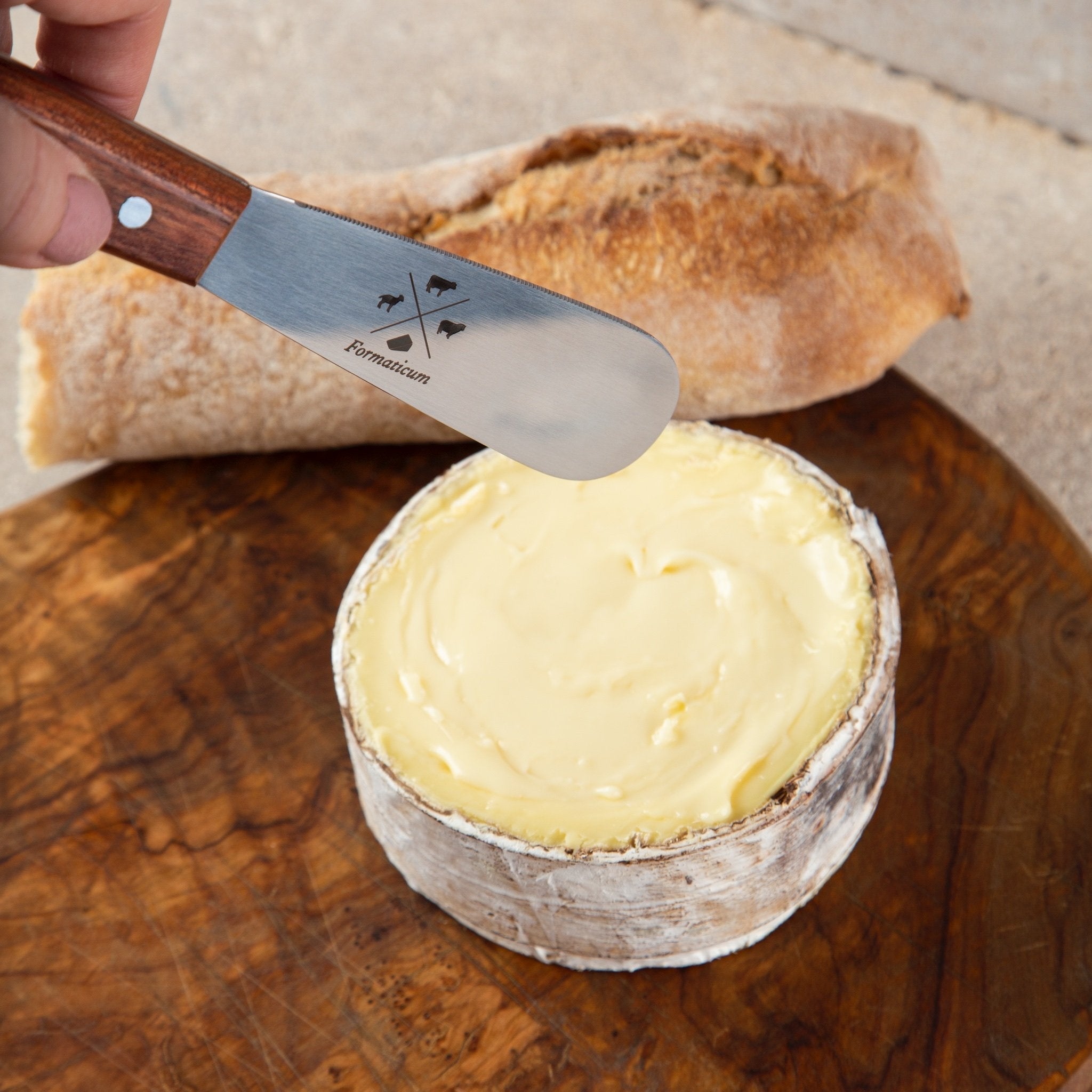 Spruce Truths: Spruce-Wrapped Cheeses, Demystified – Formaticum Wholesale